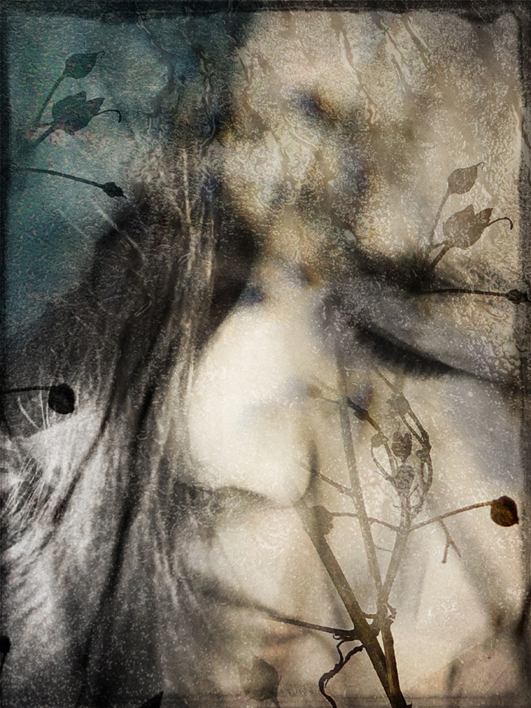 L.A. Photo Curator: Global Photography Awards - 'Where Photography ...